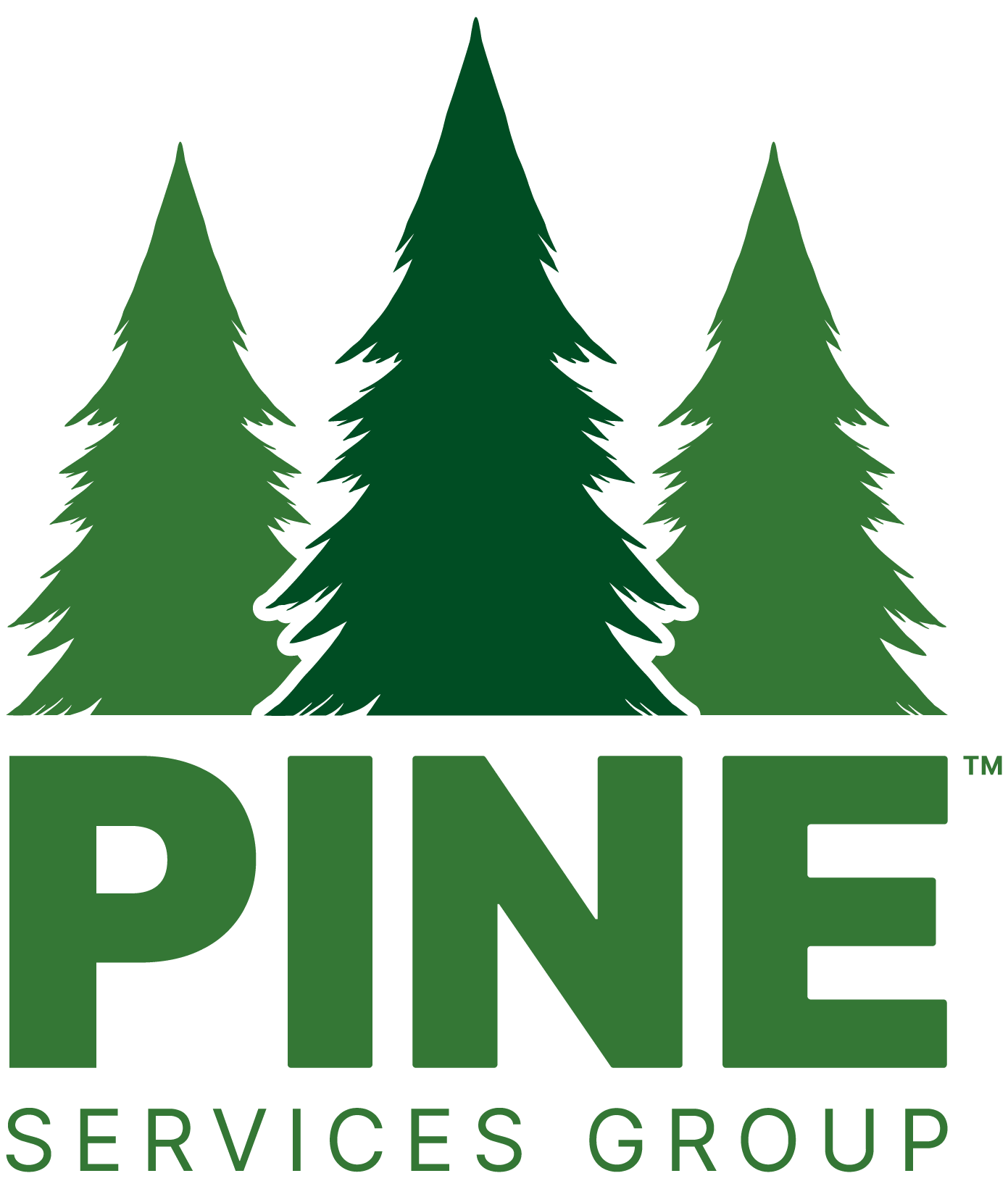 it support services group